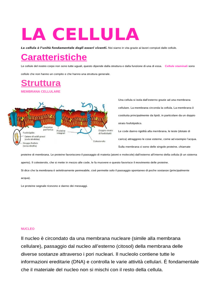 La Cellula | PDF