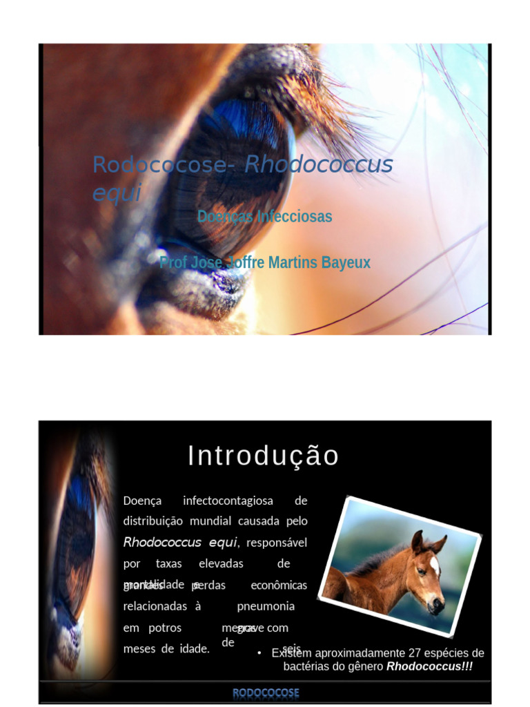 Rodococose Rhodococcus Equi | PDF