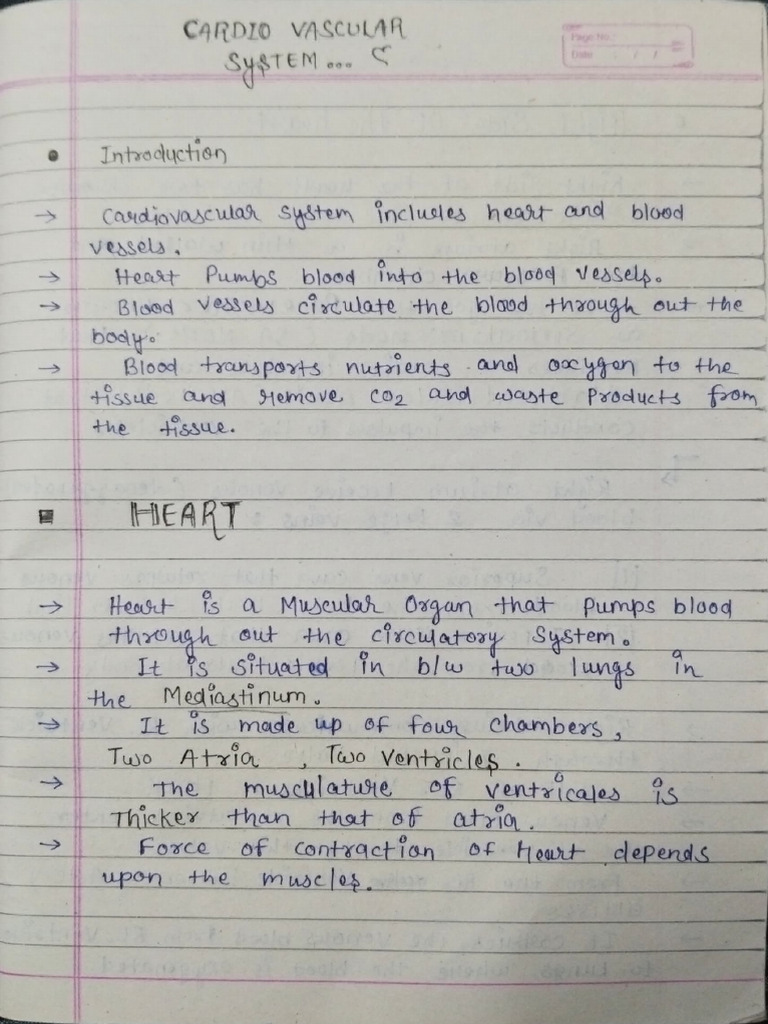 CVS.PT 1.PHYSIO | PDF