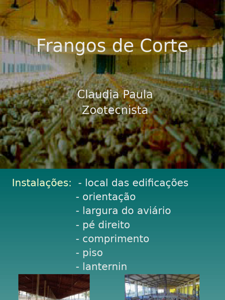 Aula 2 - Frangos de Corte | PDF
