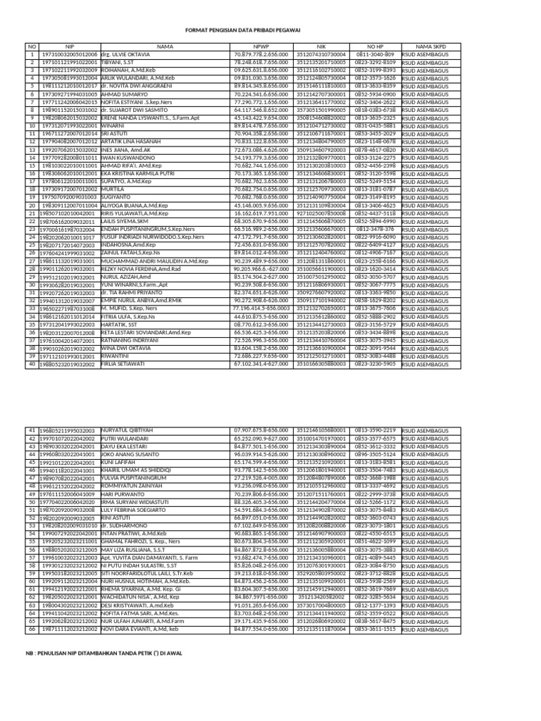 Format Pengisian Data Pns PPPK | PDF