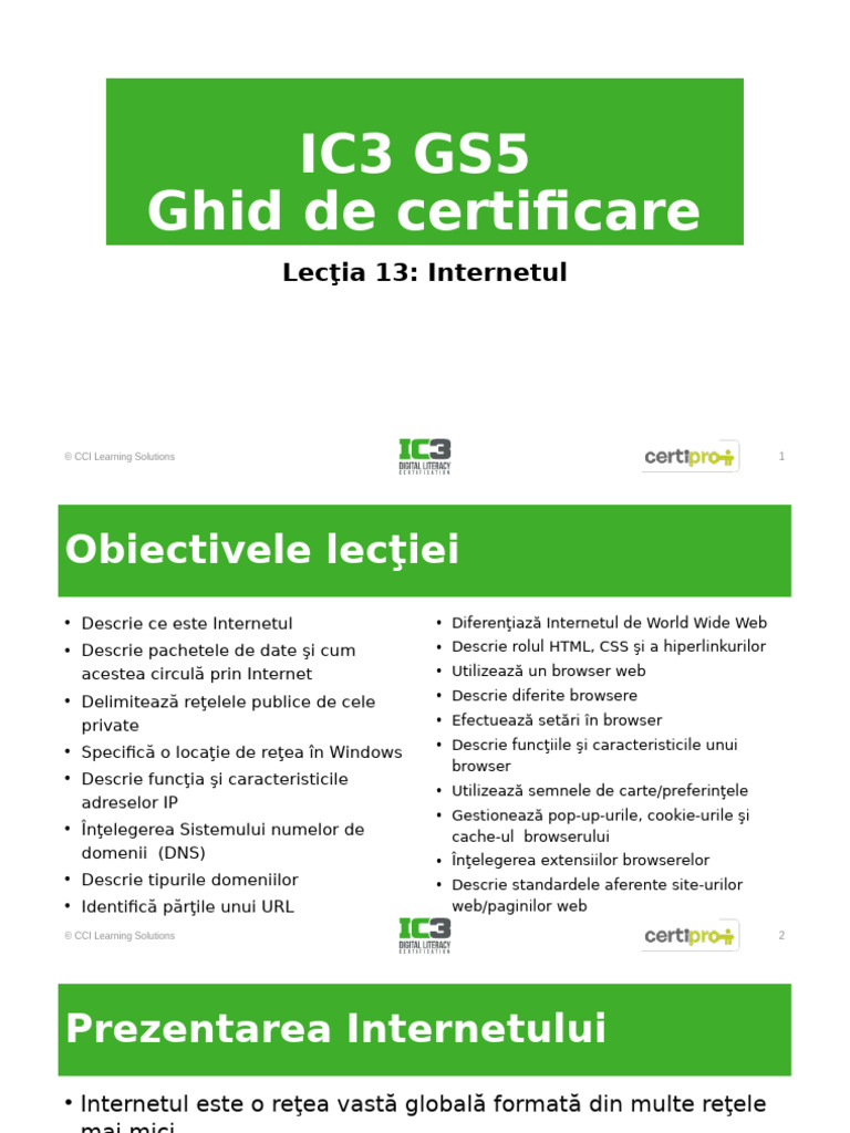 Lectia 13 - Internetul Ro | PDF