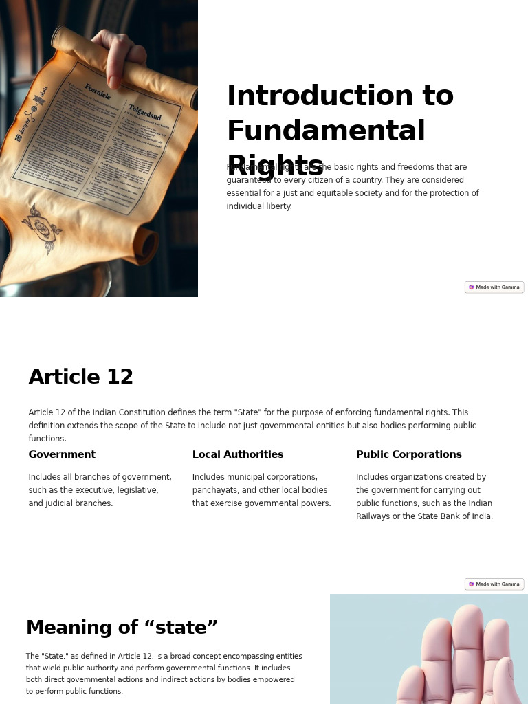 Introduction To Fundamental Rights | PDF