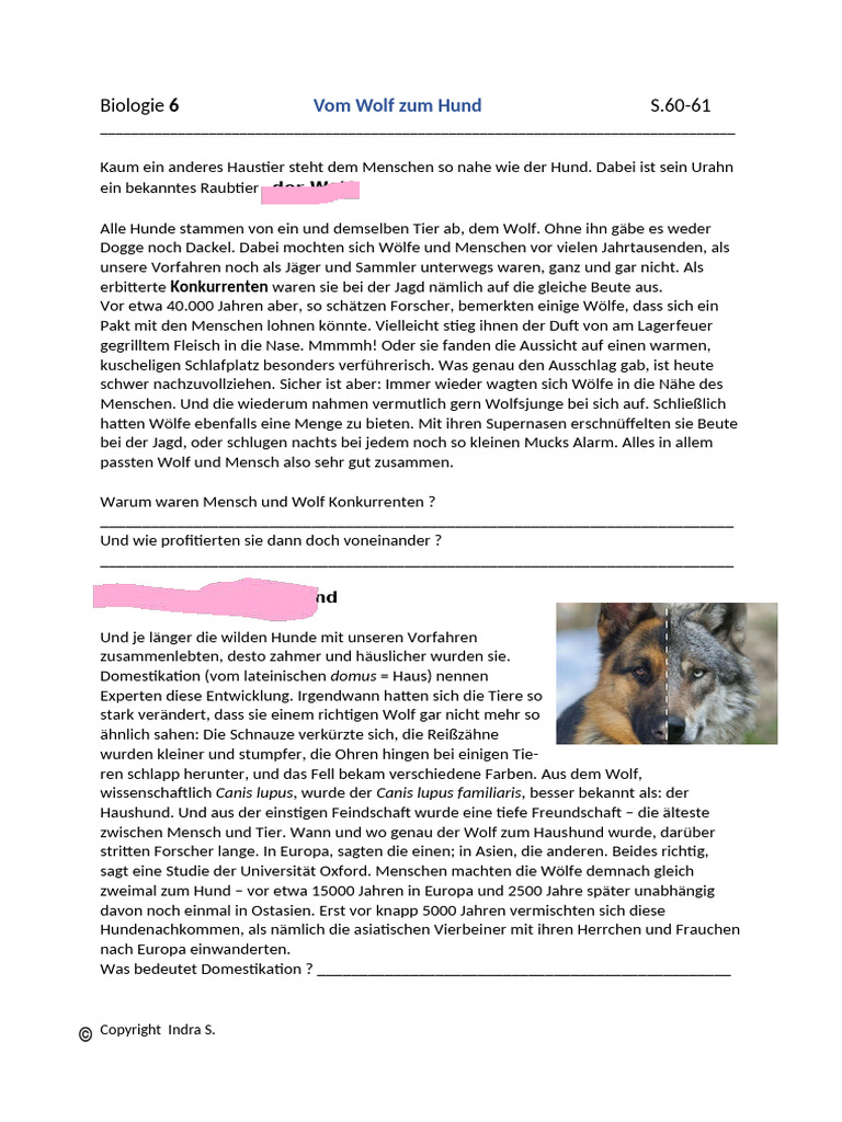 60-61 Vom Wolf Zum Hund | PDF