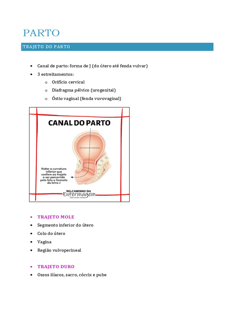 Parto | PDF