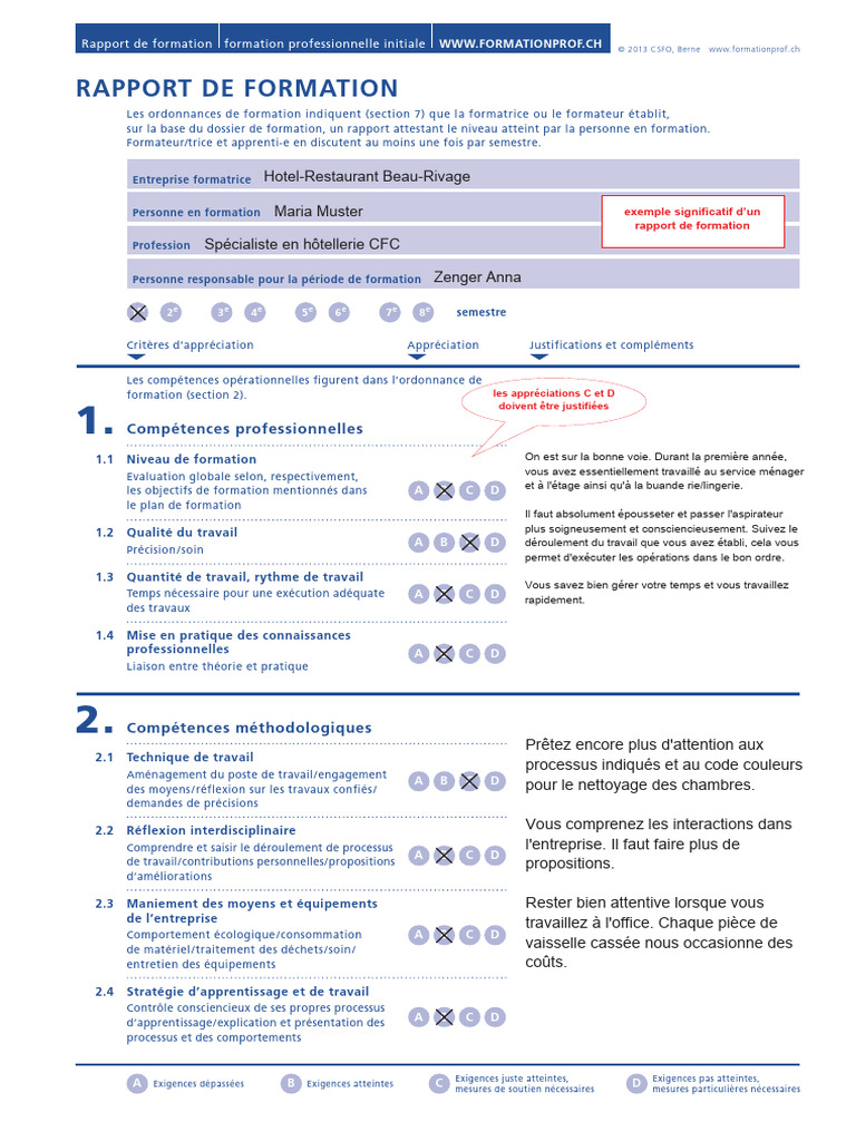 Rapport de Formation Example SPH | PDF