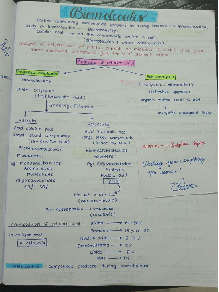 Biomolecules Full Notes | PDF