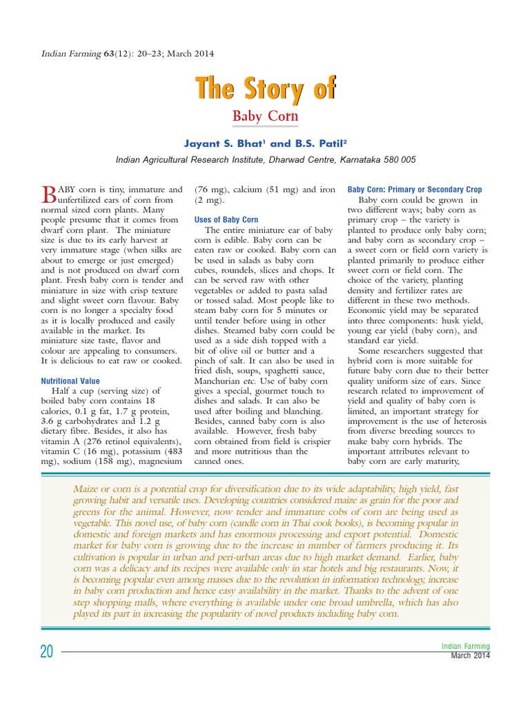 Ojsadmin, 06 The Story of Baby Corn | PDF