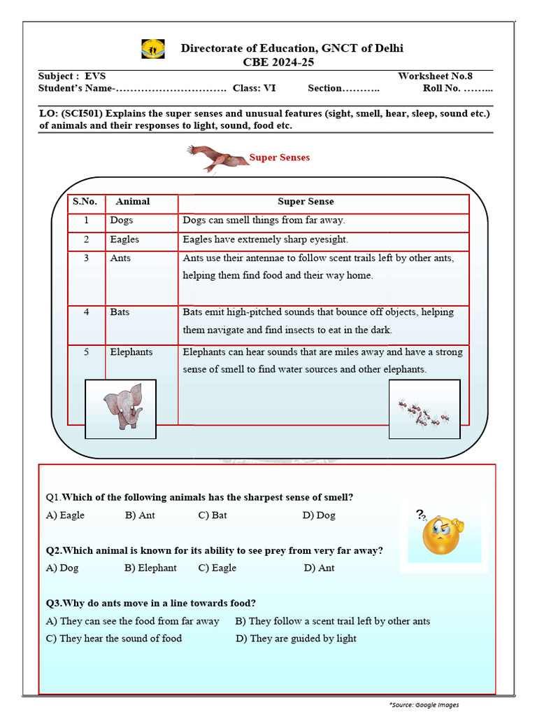 Class 6 EVS Worksheet on Animal Senses | PDF | Social Science