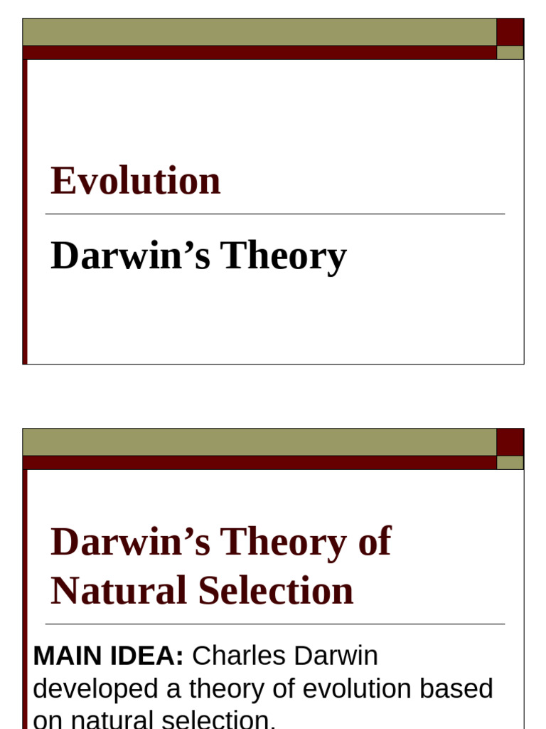 Evolution | PDF