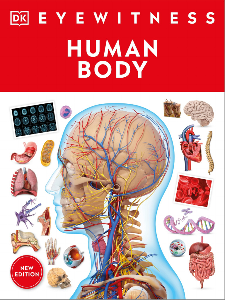 Human Body Dk Z Library Pdf