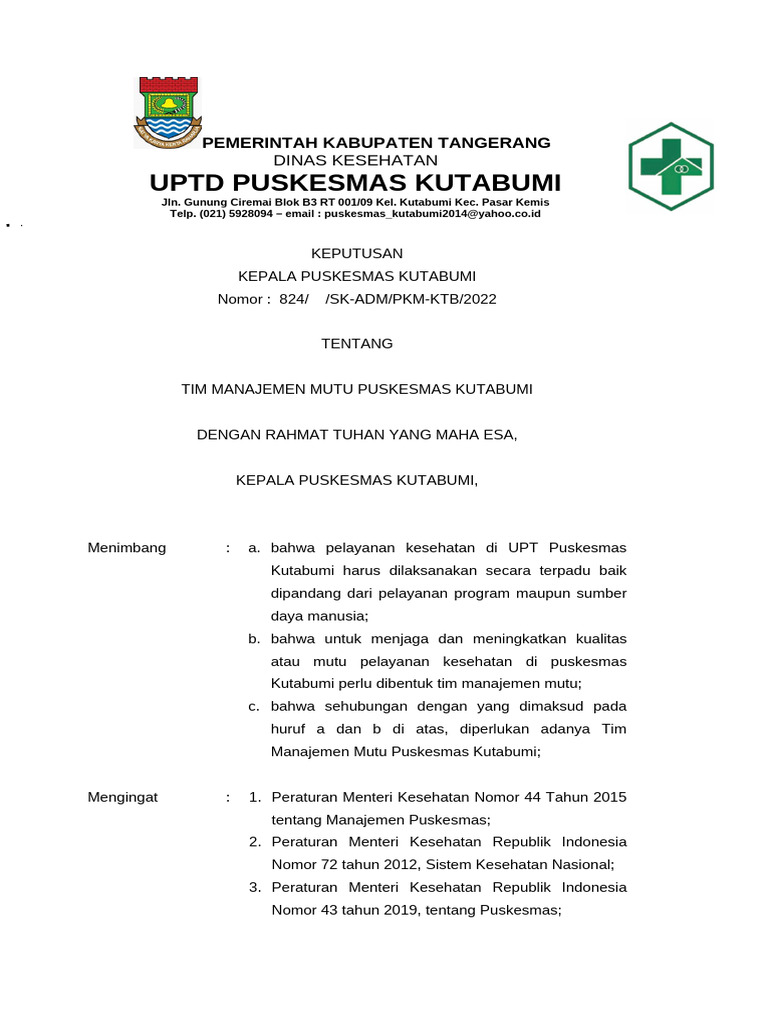 SK Tim Manajemen Mutu | PDF