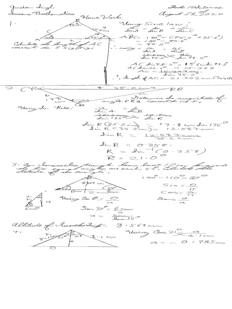Jadon Singh Math Lesson Homework | PDF
