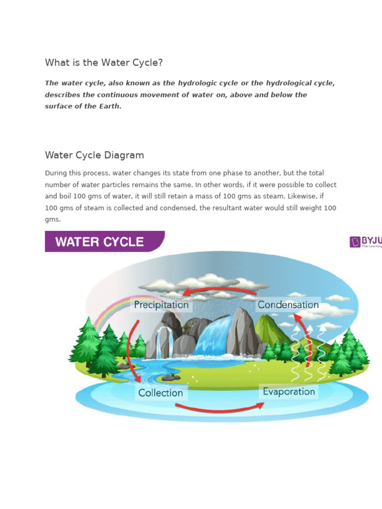 Water Cycle | PDF