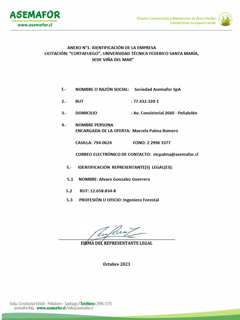 ANEXO N1_PRESENTACION_ASE_2023 | PDF