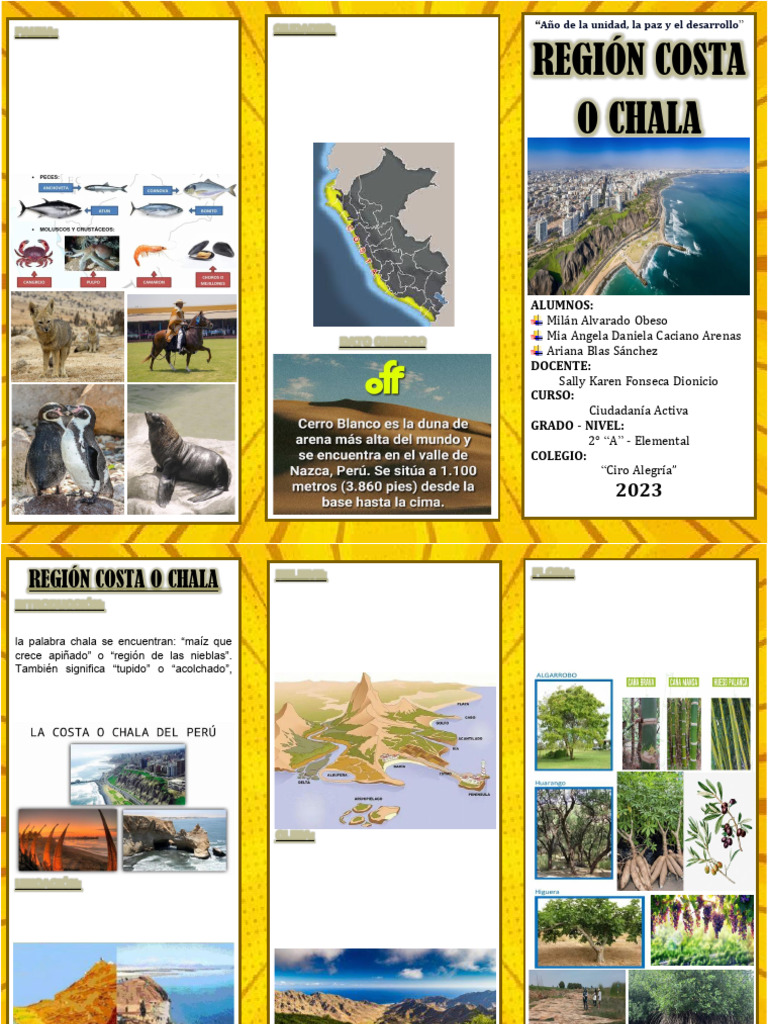 Region Costa o Chala Del Peru | PDF