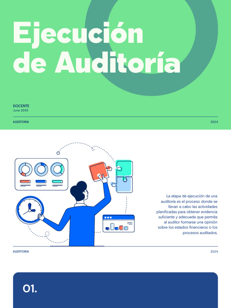 Ejecución de Auditoria | PDF