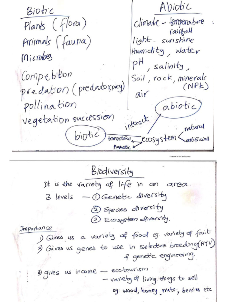 Environmental Notes Written Downloaded by Success Groups | PDF
