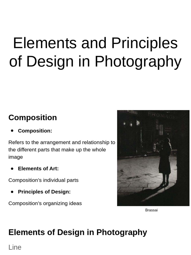 Elements and Principles of Design in Photography | PDF