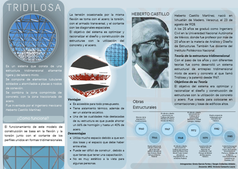 Infografía Tridilosa | PDF