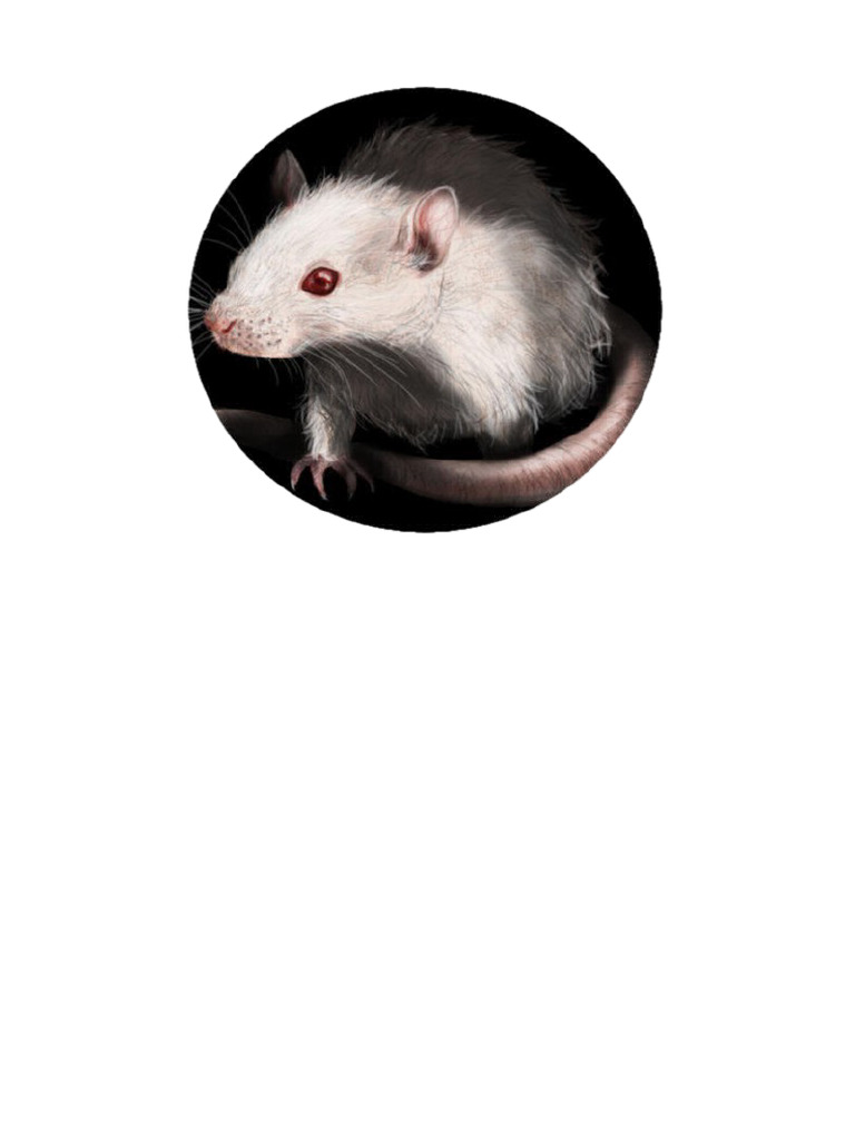 Rata 1 | PDF