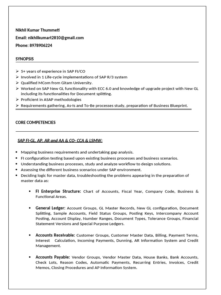 Resume 5+ Fico | PDF