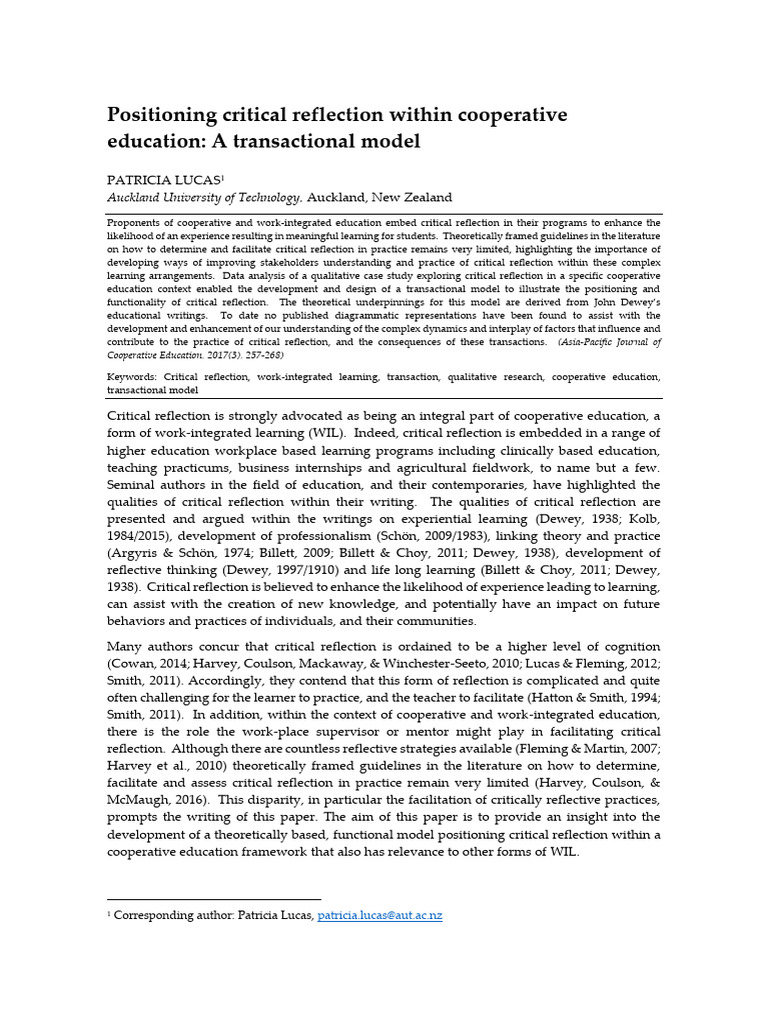 Lucas Positioning critical reflection | PDF
