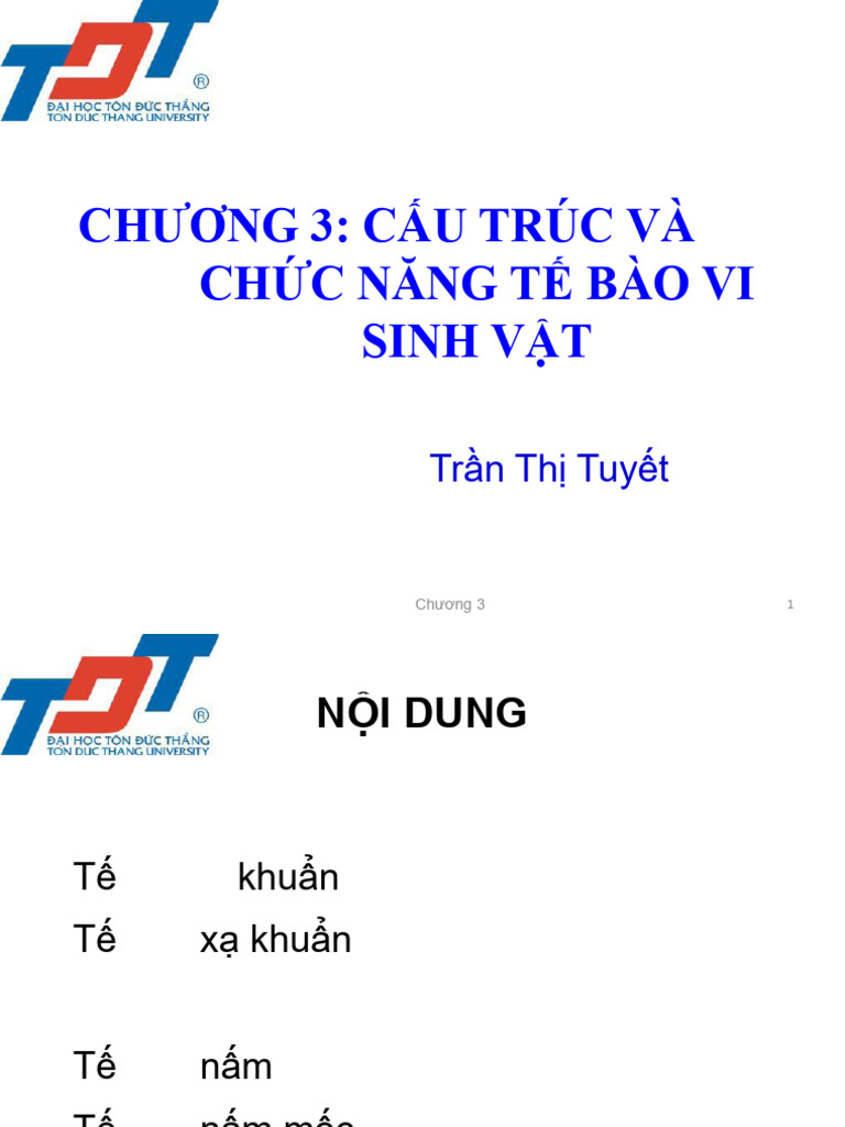 603145 Microbiology Chapter 3 | PDF