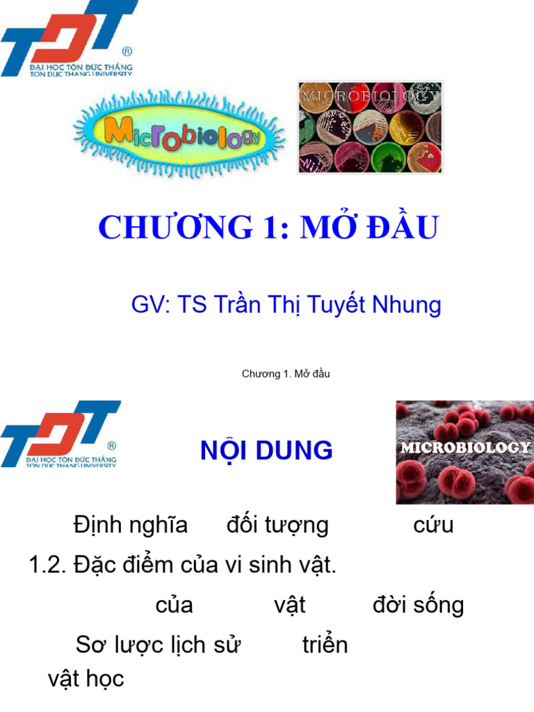 Microbiology Chapter 1 | PDF