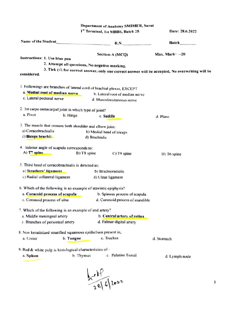 Anatomy Internal SMC Paper | PDF