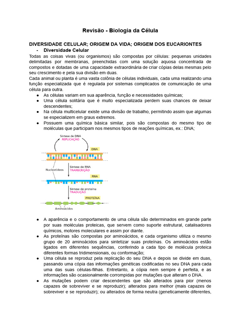 Resumos BC - Prova | PDF