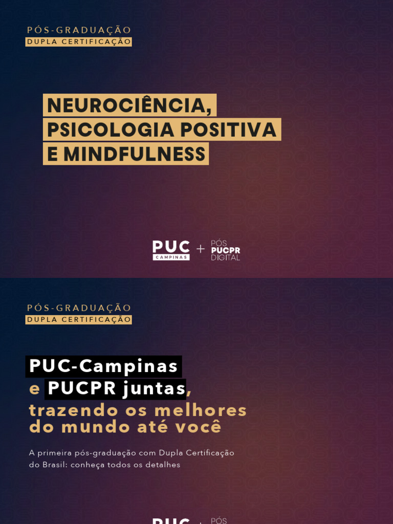Guia Neuro Mindfulness | PDF