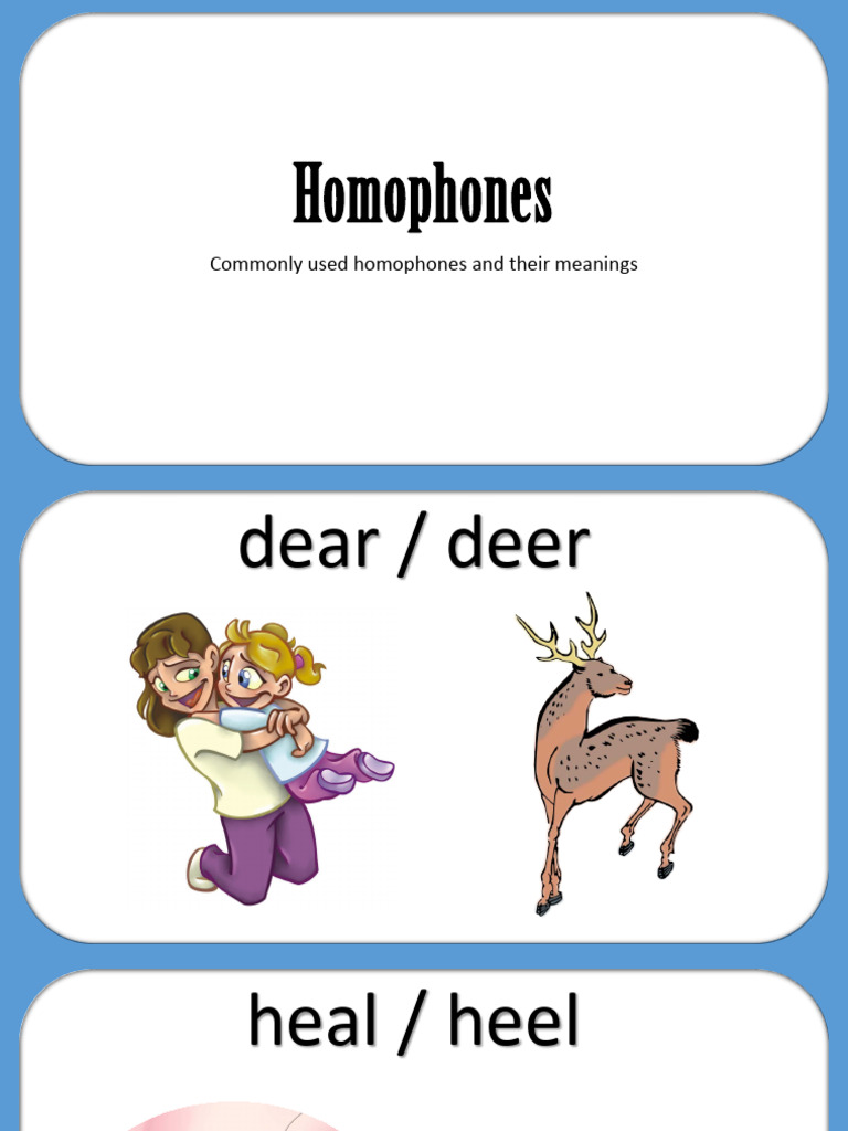 Homophones Flash Cards | PDF