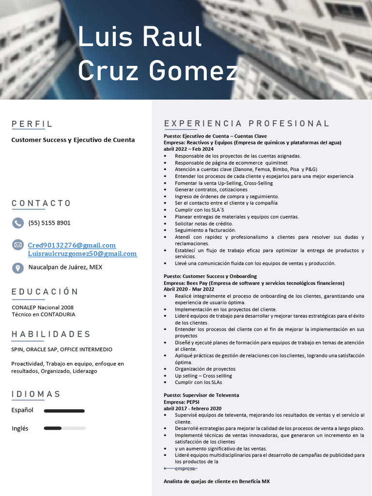 CV LRCG CSS | PDF