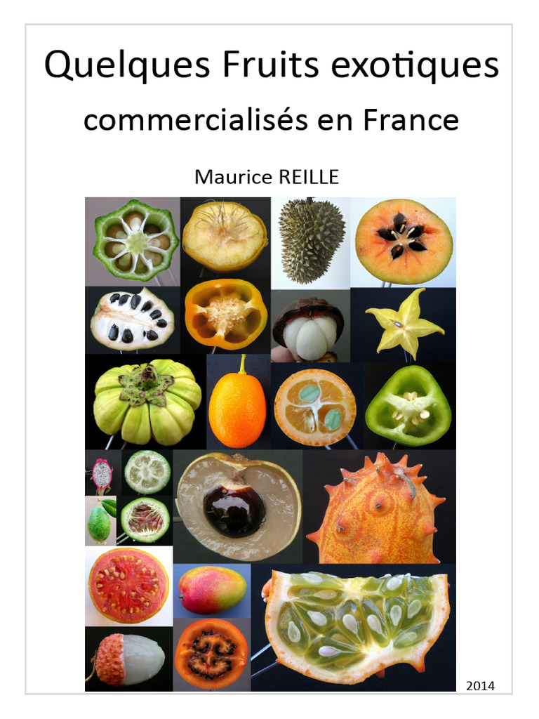 Les Fruits Exotiques FINAL | PDF
