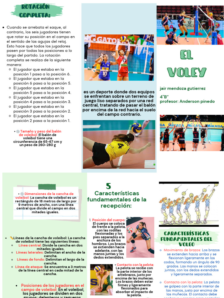 Tríptico Informativo Del Día Mundial de La Educación Ambiental Ilustrado Verde | PDF