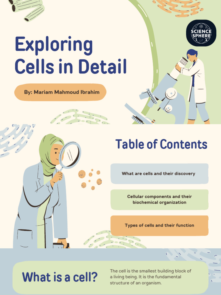 Cell Structure | PDF