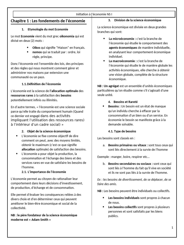 Chapitre 1 Economie NS 1 | PDF