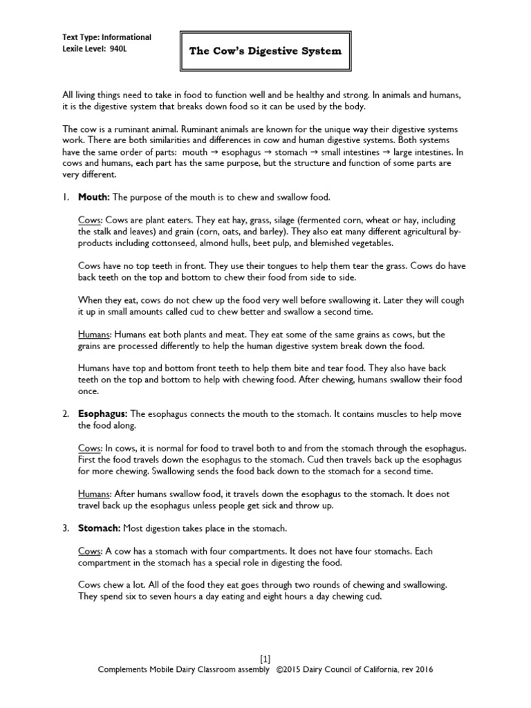 The Cow's Digestive System Reading Passage | PDF