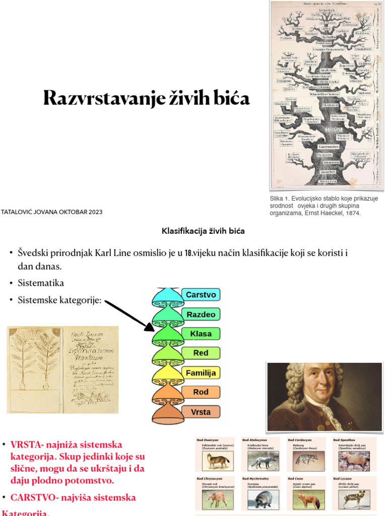 Klasifikacija PDF | PDF