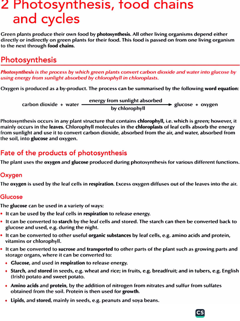 Section A Photosynthesis, Food Chains & Cycles | PDF