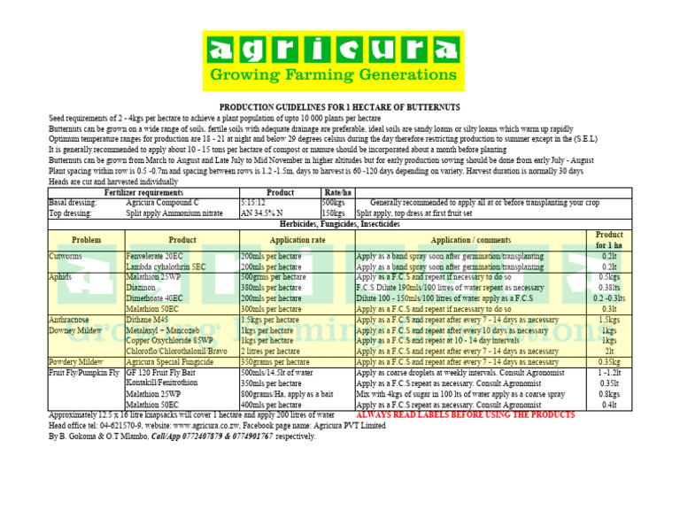Butternut Production Guidelines for 1 Ha | PDF | Soil | Sowing