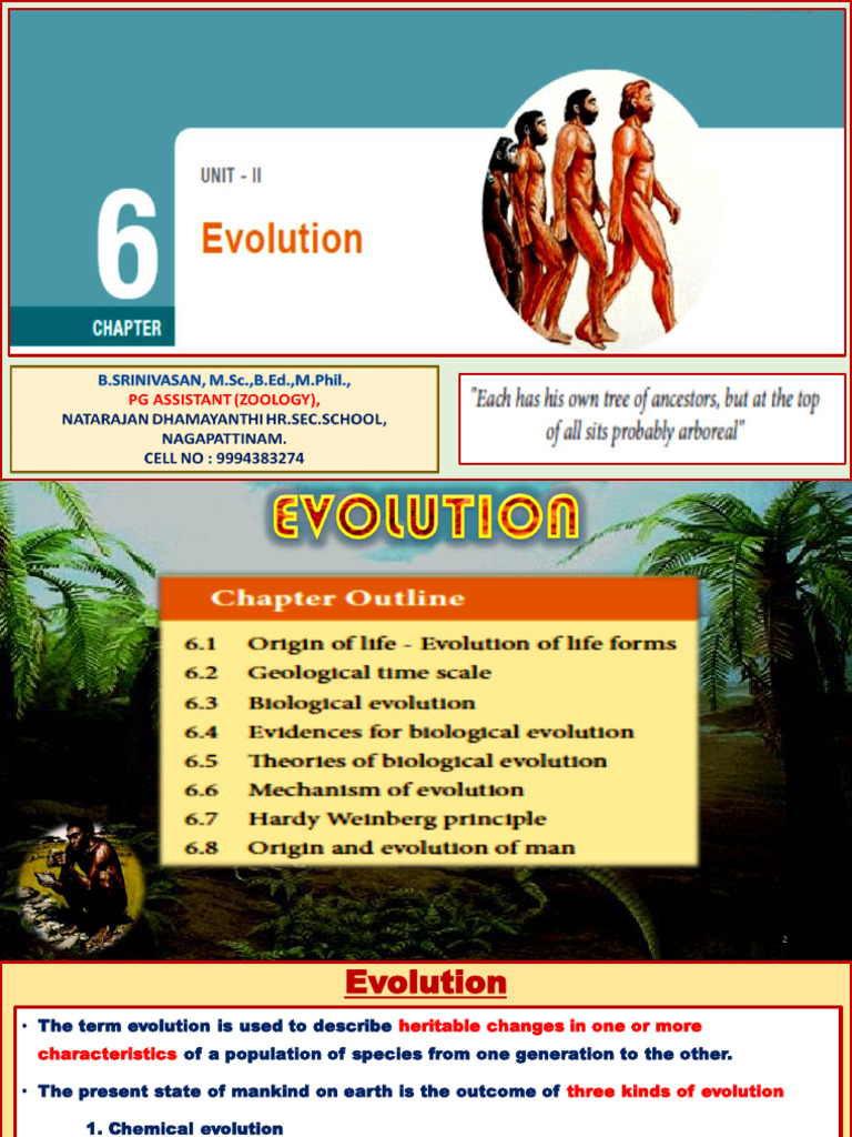 12th EM L 6 Evolution | PDF