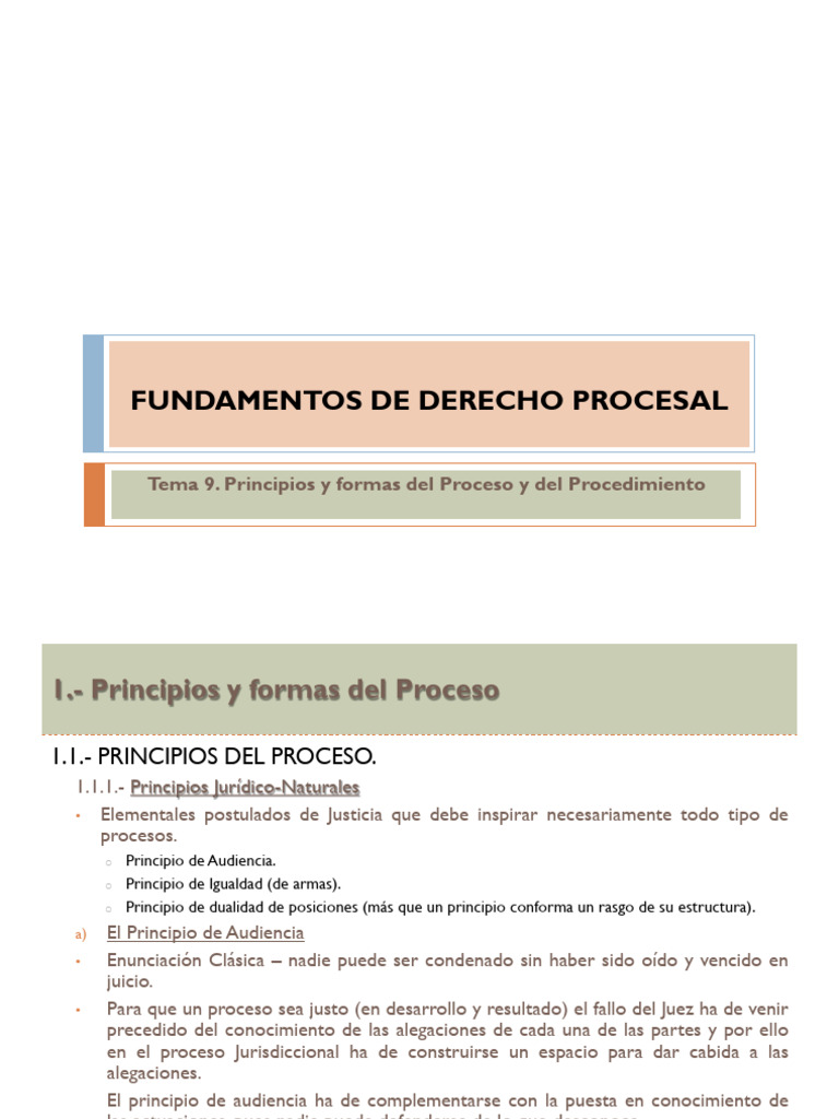 Tema 9 Principios y Formas Del Proceso y Del Procedimiento | PDF
