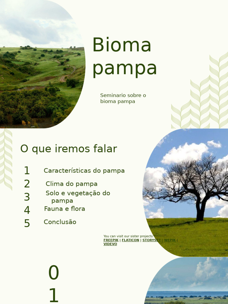 Pampa | PDF