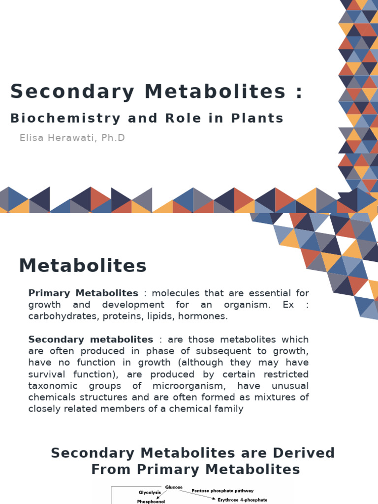Secondary Metabolites | PDF