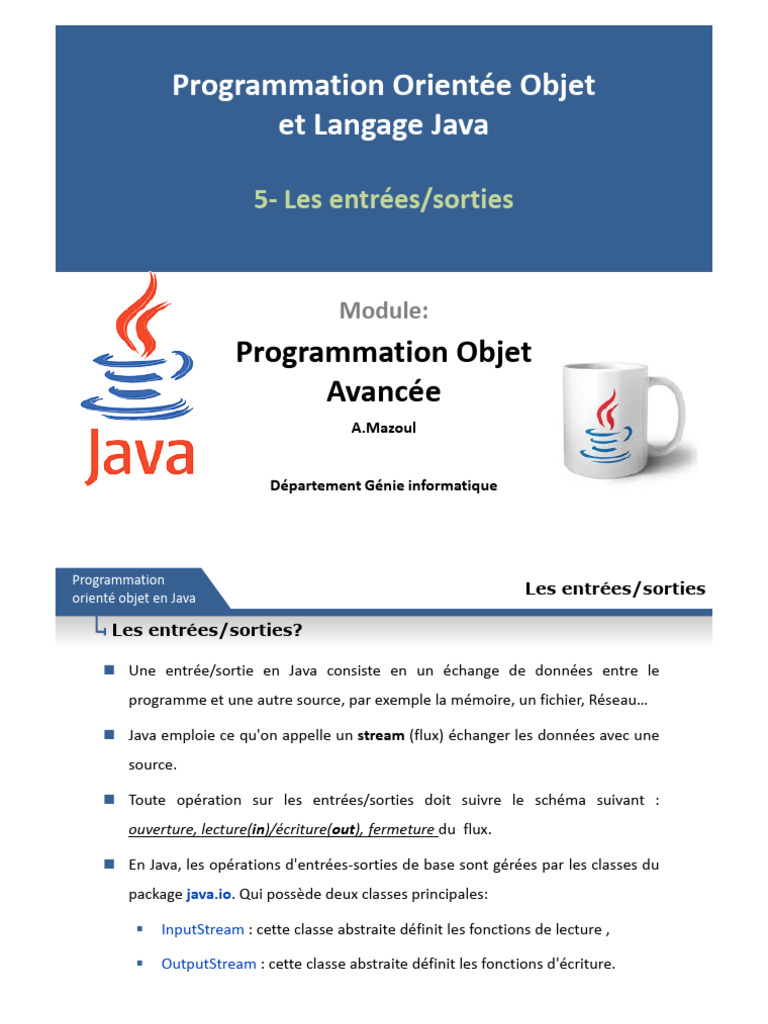 5 - Cours Java - Entrées - Sorties | PDF