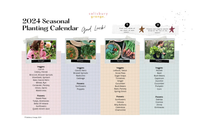 2024 Seasonal Planting Calendar | PDF | Foods | Vegetables
