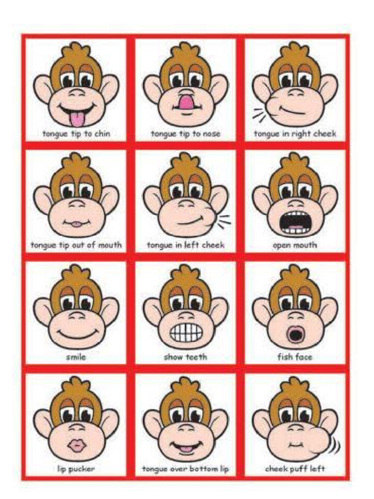 Imagine Maimuta | PDF