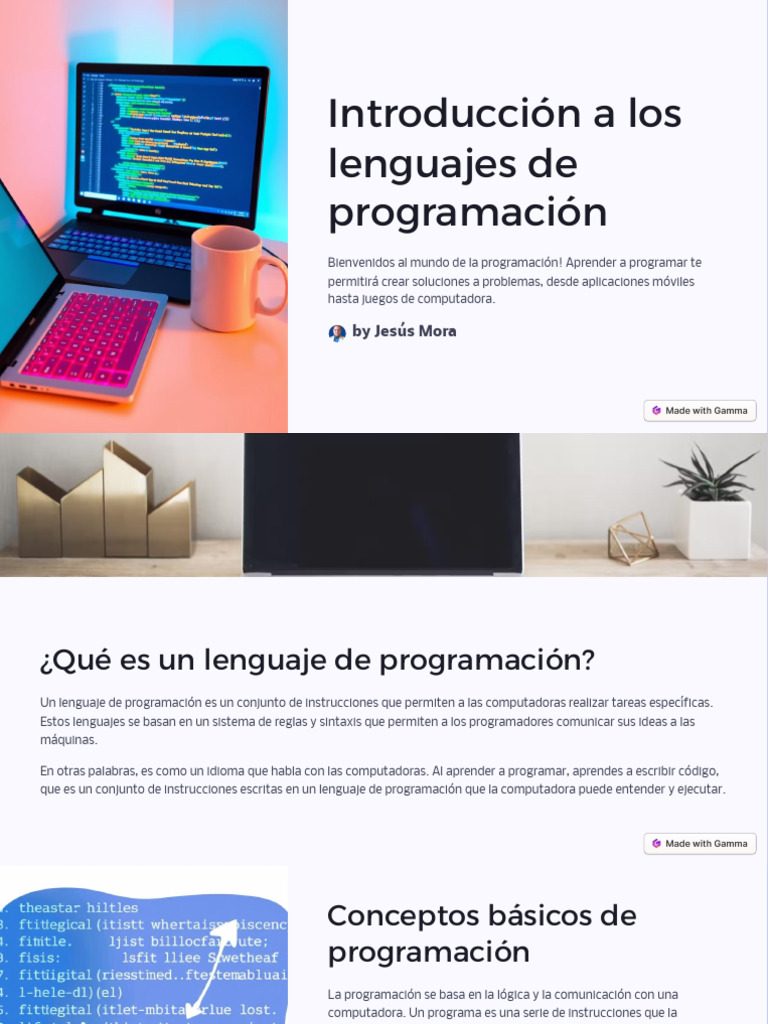 Introduccion a Los Lenguajes de Programacion | PDF